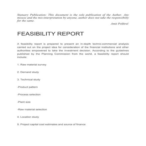 Feasibility report | PDF