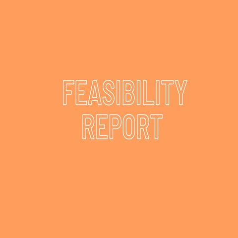 Feasibility report for startup business. | PPT