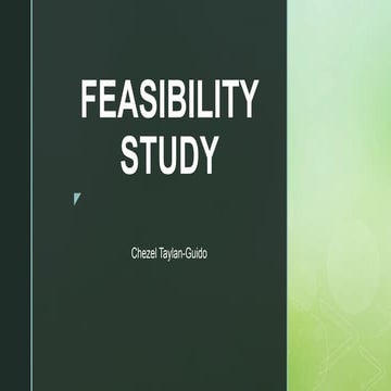 FEASIBILITY STUDY.pptx