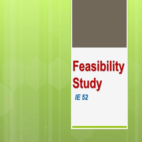 Feasibility study scope | PPTX