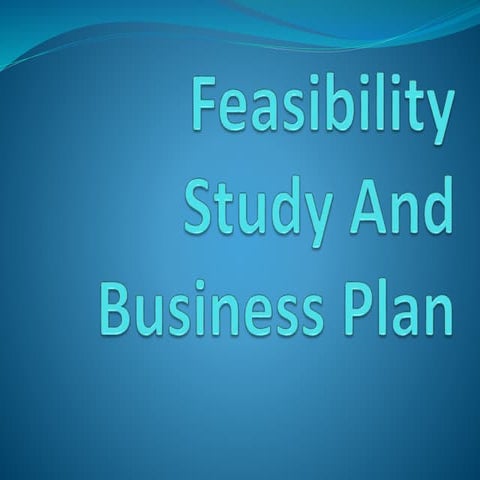 Feasibility Study and Business Plan.ppsx