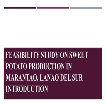 Feasibility Study on Sweet Potato Production in Marantao.pptx