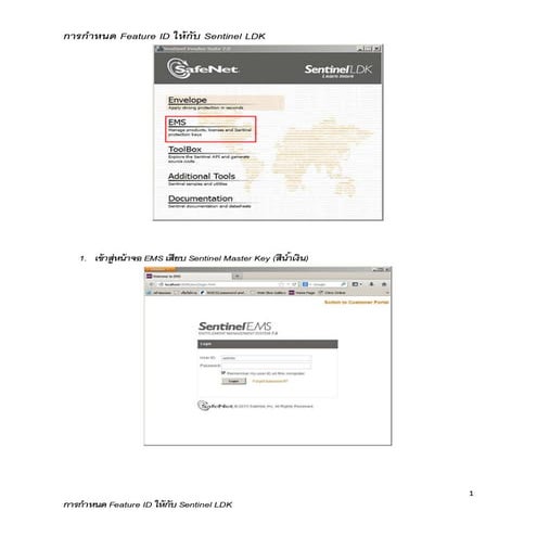 การกำหนด Feature id ให้กับ sentinel ldk | PDF