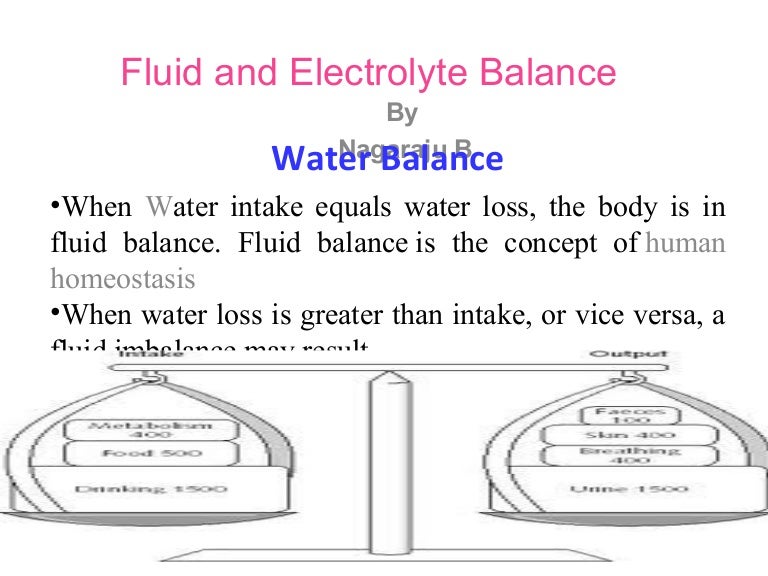 Fluid And Electrolyte Balance Khan Academy at Robert Parsley blog