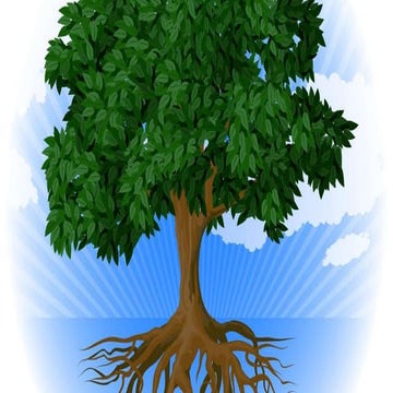 Release False Fears And Reconnect With Your Root | PPT