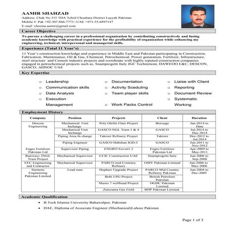 Aamir CV (1) | DOC | Civil Engineering Industry | Industries