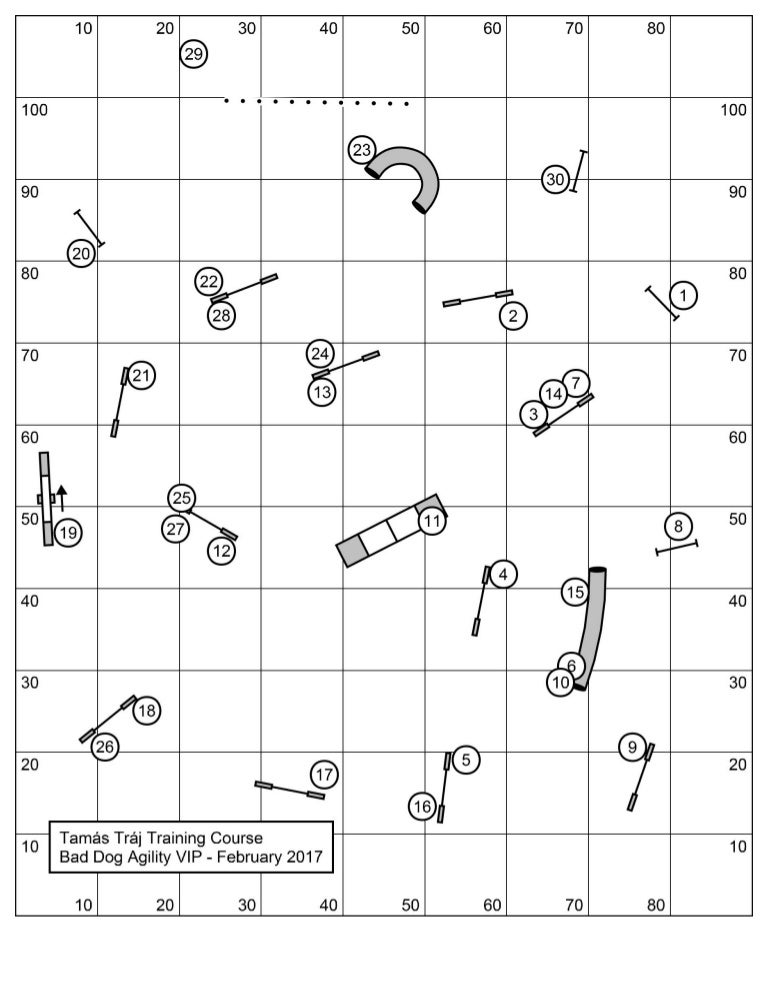 Dog agility course maps