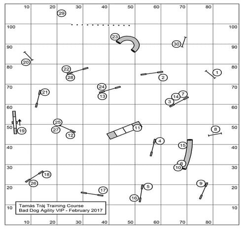 Dog agility course maps | PDF
