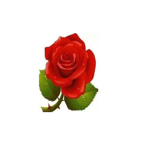 STOOL CONCENTRATION METHODS | PPTX