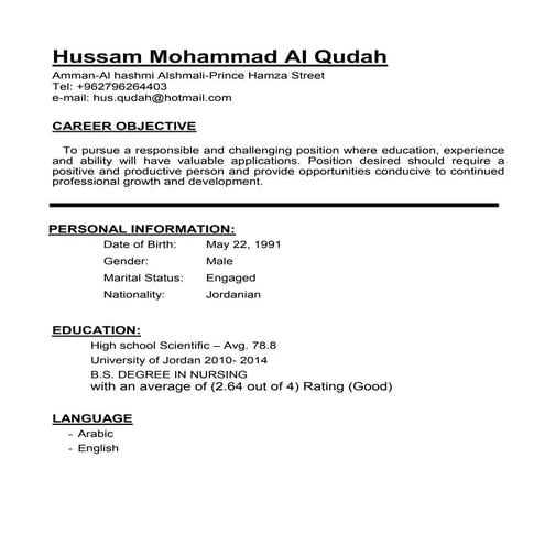 Alaa Resume | DOCX