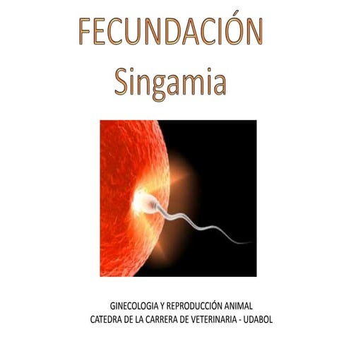 Fecundación.udabol | PPTX
