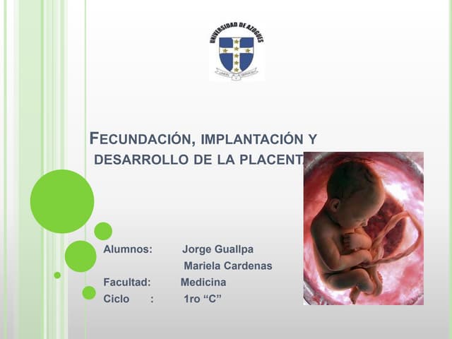 Fecundación Implantación Y Desarrollo De La Placenta Ppt