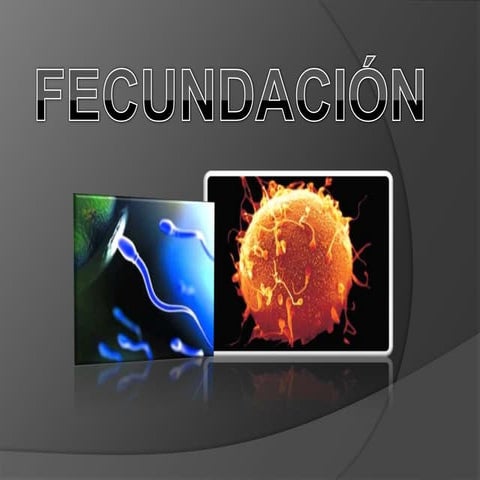 Fecundacion | PPTX