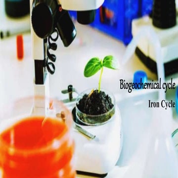 Fe Cycle.pptx