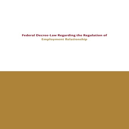 Federal DecreeLaw No 33 of 2021 (1).pdf