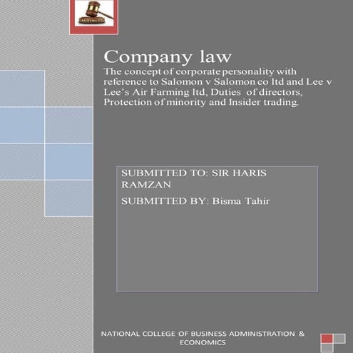 B law project | PDF