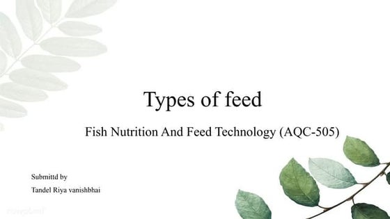 Fish feeding and feeding types | PPTX