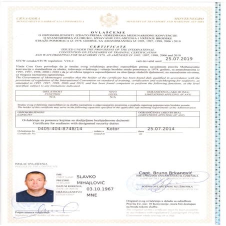 Designated Security Duty | PDF