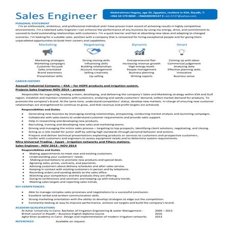 sales Engineer CV | PDF