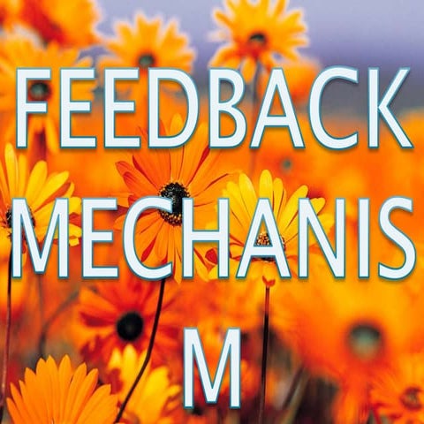 How does endocrine and nervous system works together in maintaining ...