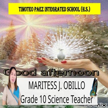 FEEDBACK MECHANISMS INVOLVED IN REGULATING PROCESSES IN THE FEMALE ...