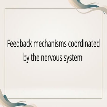 FEEDBACK_MECHANISMS_COORDINATED_PPT.pptx