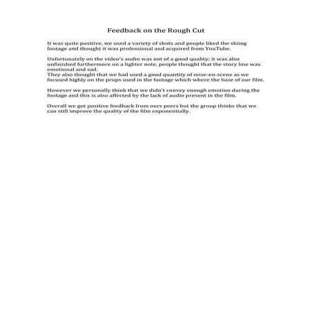 Feedback on the rough cut | DOCX