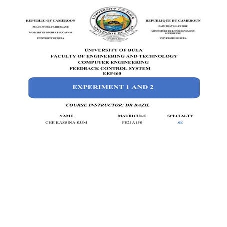 FEEDBACK REPORT for control system .docx