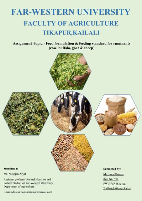 Feed formulation | DOCX | Agriculture | Industries