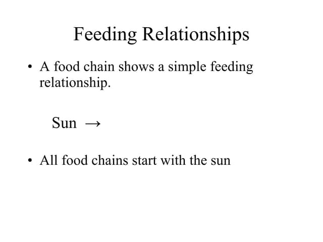 Feeding relationships | PPTX