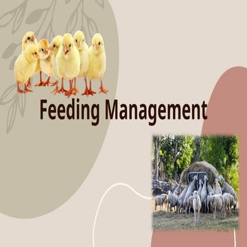 Feeding-Management-REAL power point presentation | PPT