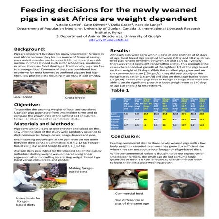 Dr. Don Giesting - Feeding options to fit pig health | PPTX