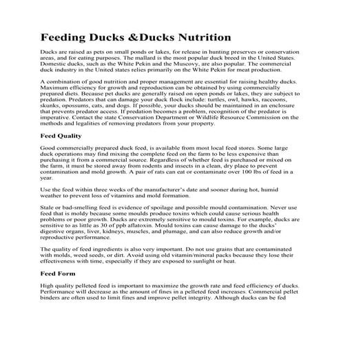 Feeding Ducks.docx | Birds | Pets
