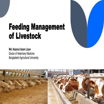 Feeding Management Strategies for Healthy and Productive Livestock | PPTX