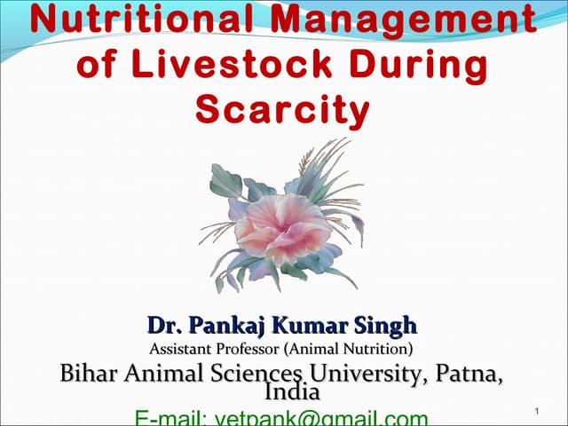 Feeding Management Strategies for Healthy and Productive Livestock | PPTX