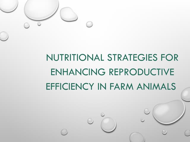 Feeding optmization final.ppt optimizing performance in cattle | PPT Feeding optmization final.ppt optimizing performance in cattle | PPT