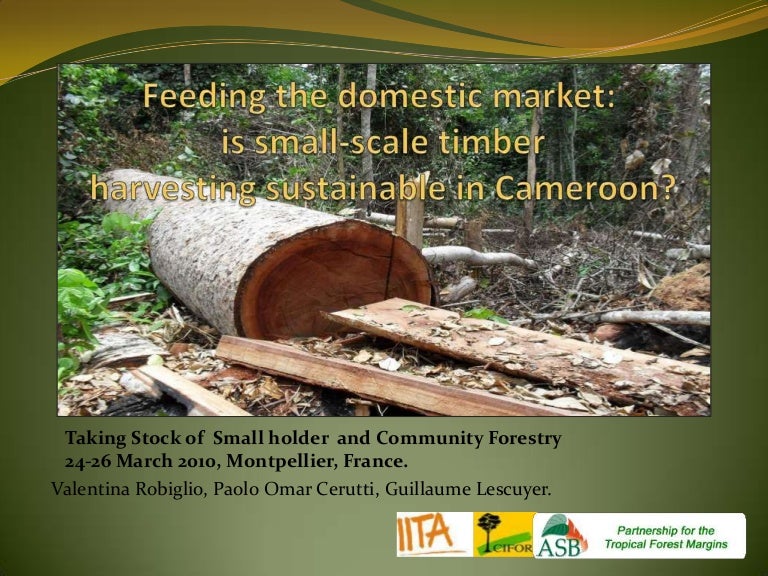 Feeding the domestic market: Is small-scale timber harvesting ...