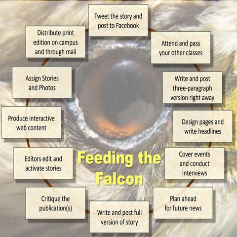 Feeding The Falcon | PPTX | Technology & Computing