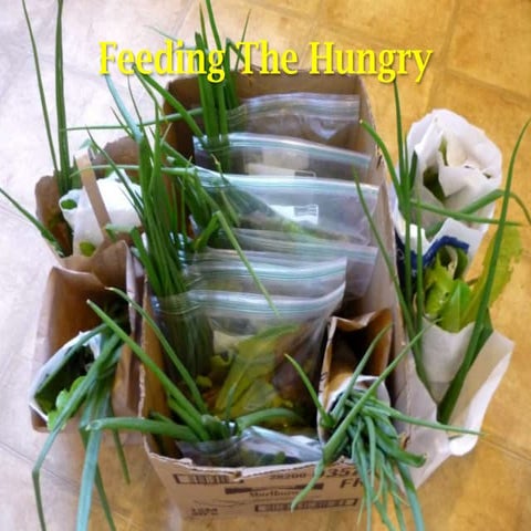 Let's Feed The Hungry! | PPT