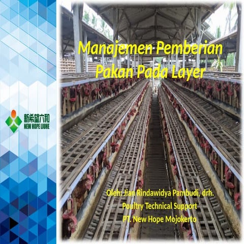 cara mengatur Feed Managemen pada ayam Layer | PPTX