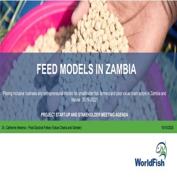 Fish Feed model Zambia GIZ project | PPT | Agriculture | Industries