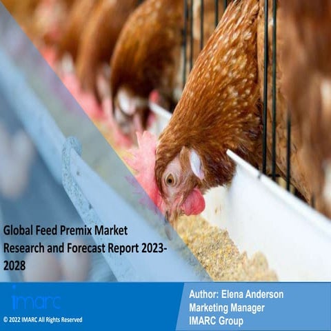 Feed Premix Market PPT: Growth, Outlook, Demand, Keyplayer Analysis and ...