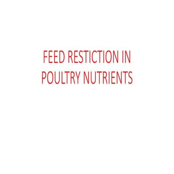 FEED RESTICTION IN POULTRY NUTRIENTS.pptx saad.pptx