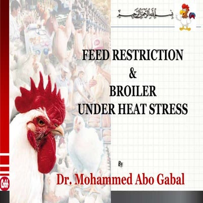 Feed restriction on broiler performance | PPTX