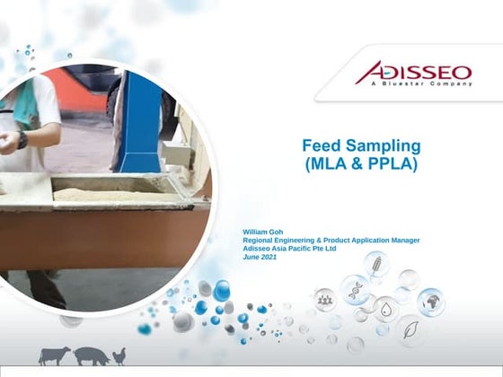 Responsibility Presentation.pptx