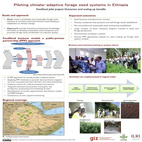 Piloting climate-adaptive forage seed systems in Ethiopia—FeedSeed ...