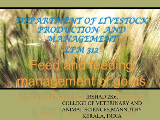 Feed ingredients used for animal feed (ruminants) | PPT