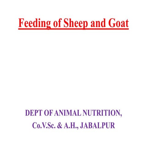 feeds of goats.pdf