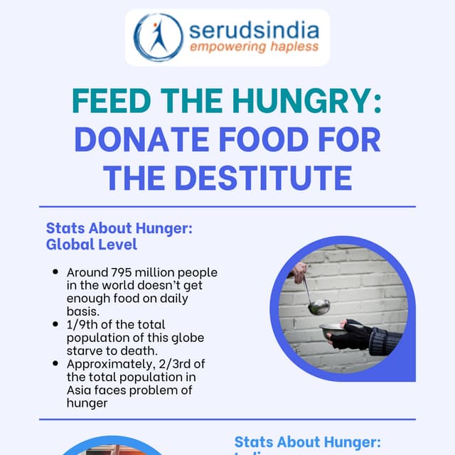 Feed the Hungry Donate Food for the Destitute | PDF