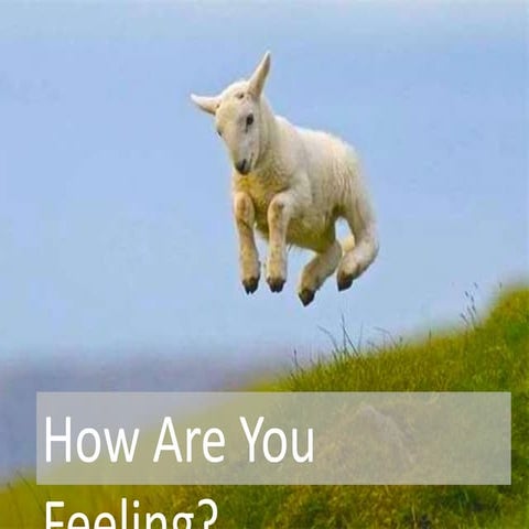 How Are You Feeling? | PPT